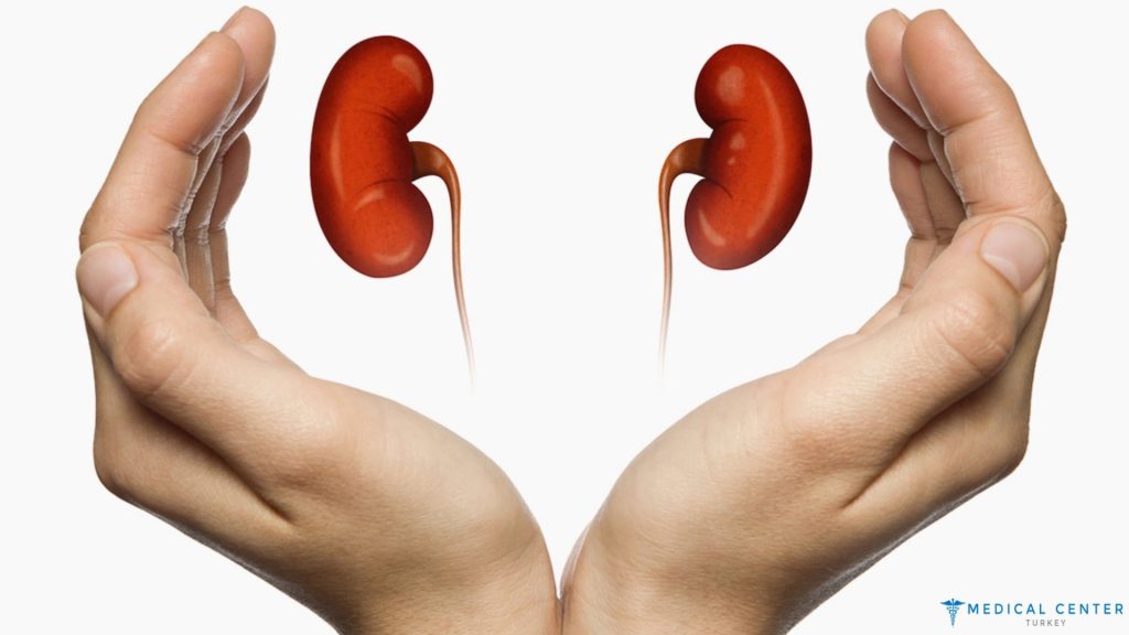 Kidney Transplant in Turkey - Medical Center Turkey
