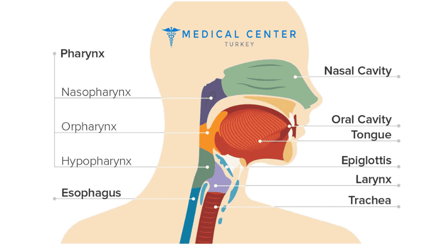 Throat Cancer Operation - MCT